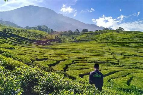 Destinasi Wisata Populer Di Kota Blitar Termasuk Situs Bersejarah