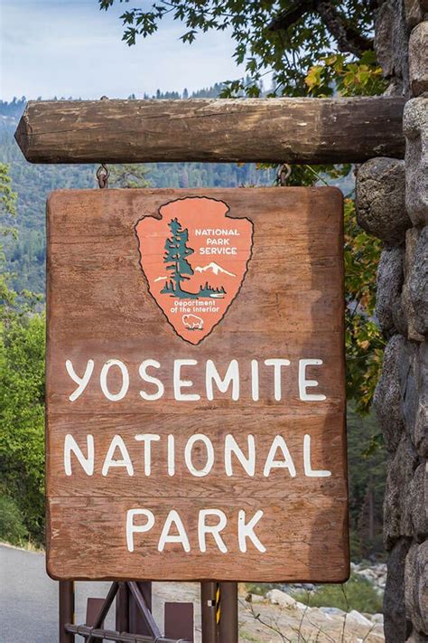 Everything You Need To Know About Yosemite Reservations And The