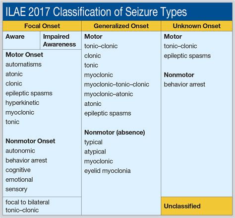 Types Of Seizures How To Tell Them Apart And Giving First 52 OFF