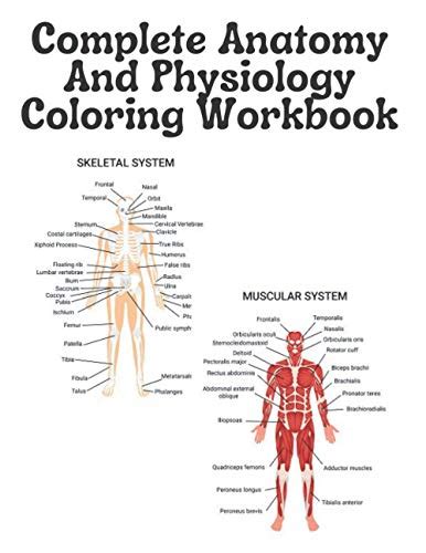 Complete Anatomy And Physiology Coloring Workbook Netter S Anatomy And