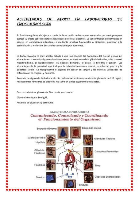 Endocrinología Maria antonia ciprian beraun uDocz