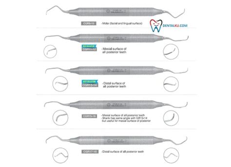 Gracey Curettes Standard Curette Dentalku