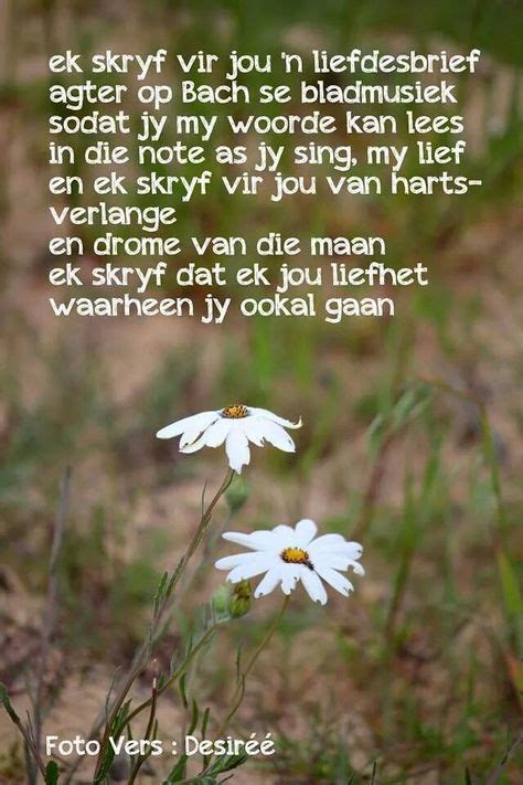 30 Afrikaanse Gedigte Ideas In 2021 Afrikaans Afrikaans Quote Themeloader