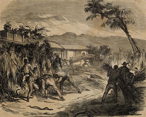 Une plantation sucrière aux Antilles Esclavage