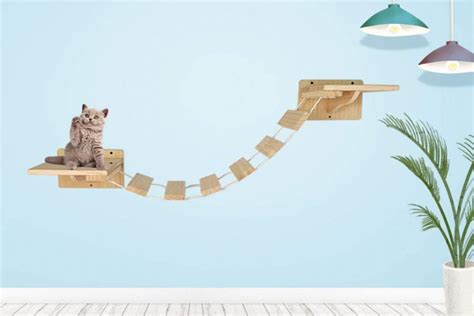 5 pareti attrezzate per i gatti più energici e avventurosi