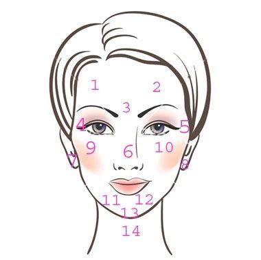 Venusmag Le Petit Guide Du Face Mapping Pour Comprendre Vos Boutons