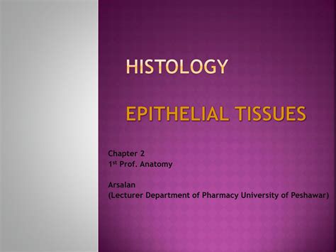 Solution Histology Epihithelial Tissues Body Tissues And