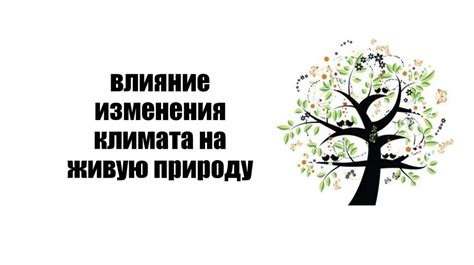Online Presentation