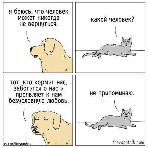 Человек Пикабу