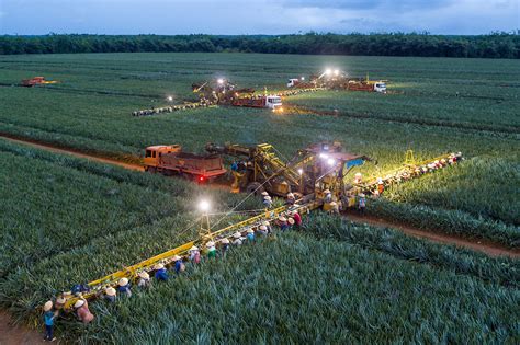 Stnmtz Tif George Steinmetz