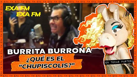 Burrita Burrona Qu Es El Chupiscolis Youtube