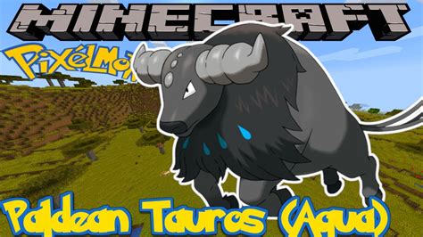 How To Find Paldean Tauros Aqua Breed In Pixelmon Reforged