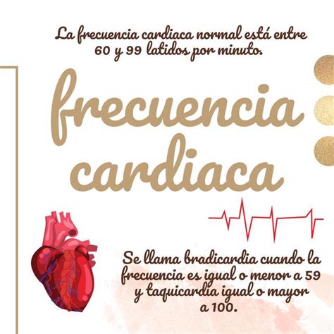 Frecuencia Cardiaca M Dical Noteees Udocz