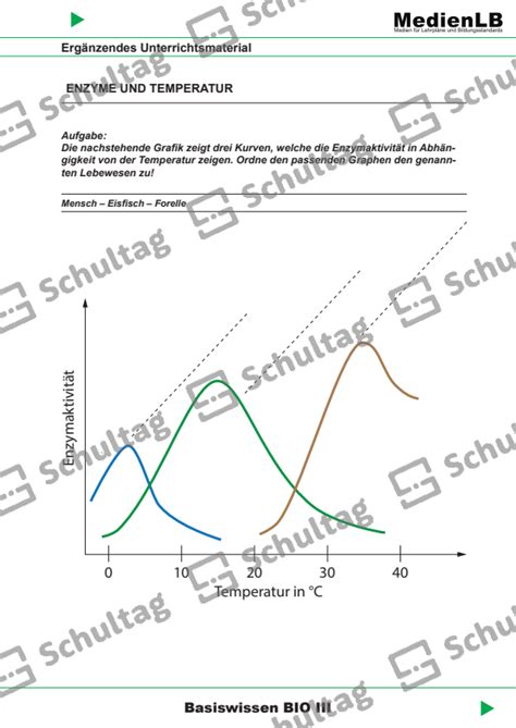 VERGLEICH VON MITOSE UND MEIOSE Schultag