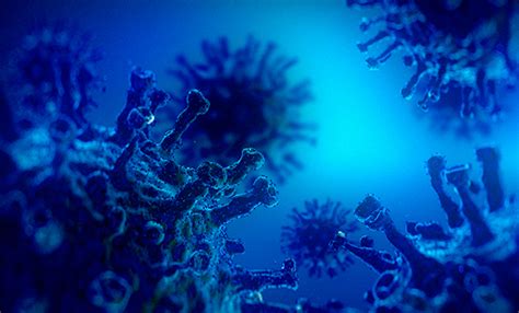 Coronavirus E Sanificazione Degli Ambienti Avangard Restyling Your Life