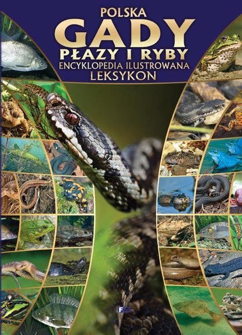 Ilustrowana Encyklopedia Ryb Polski Niska Cena Na Allegro Pl