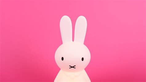 Top Miffy Wallpaper Full Hd K Free To Use