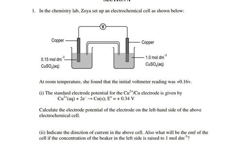 1 In The Chemistry Lab Zoya Set Up An Electrochemical Cell As Shown Bel
