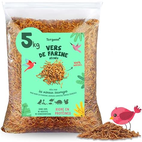 Vers de farine séchés pour poules conseils et achat
