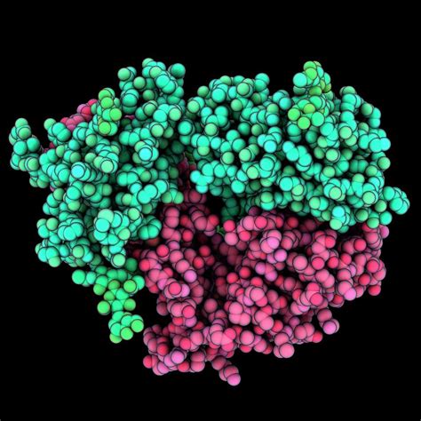 T Cell Antigen Receptor Molecule By Laguna Design Science Photo Library