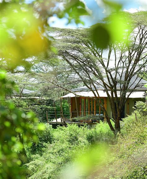 Jw Marriott Masai Mara Lodge Luxury Safari Interiors