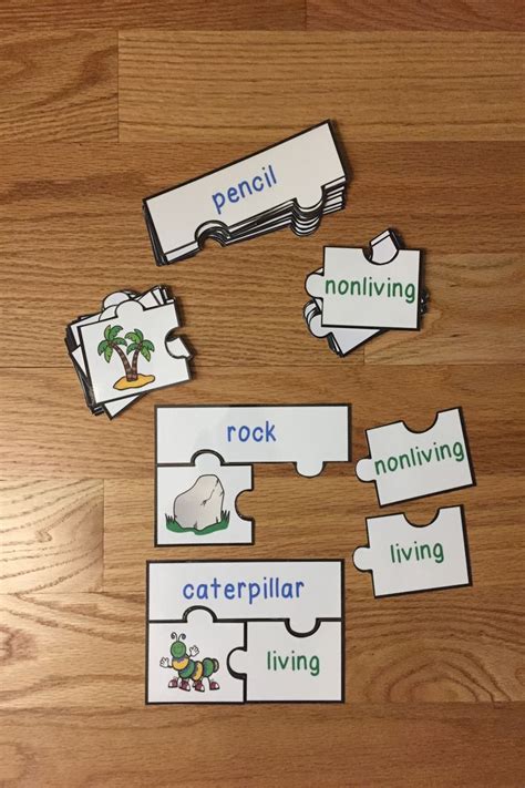 Looking For A Fun Teaching Idea For Living And Nonliving Well Look No