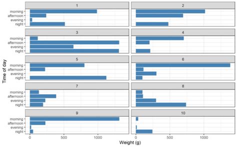 Food And Fluid Chart Template