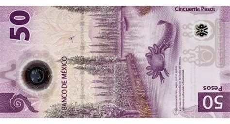 Billete De 50 Pesos Del Ajolote Meses sin interés