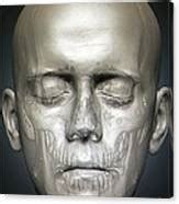 Human Head Mri And 3d Ct Scans Photograph By Zephyr Pixels