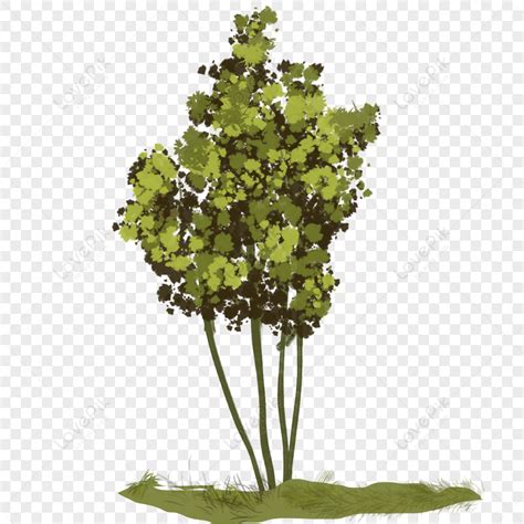 Arbol Verde PNG Imágenes Gratis Lovepik