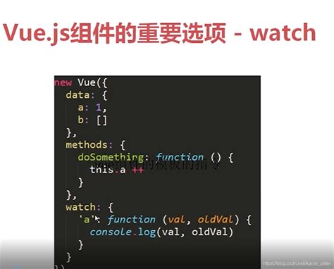 vue js组件的重要选项（二） 在vue js中哪个数据选项 csdn博客