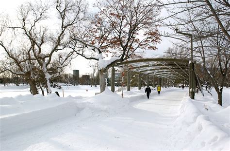 冬のアクティビティ満載 雪遊びが楽しめる札幌の公園特集 PARKFUL公園をもっと身近にもっと楽しく