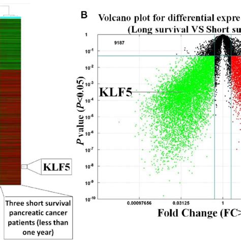 Heat Map And Volcano Plot Illustrating The Gene Expression Profiles Of
