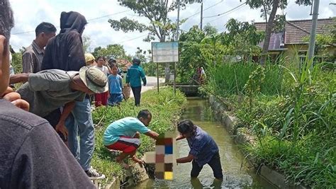 Blora Heboh Jasad Bayi Ditemukan Di Saluran Irigasi