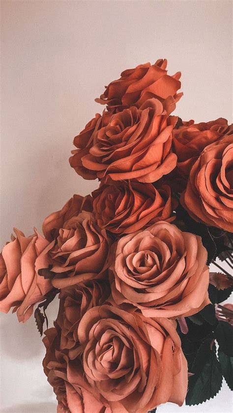 Pin by Alina aa on Обои для телефона Flower iphone wallpaper Vintage
