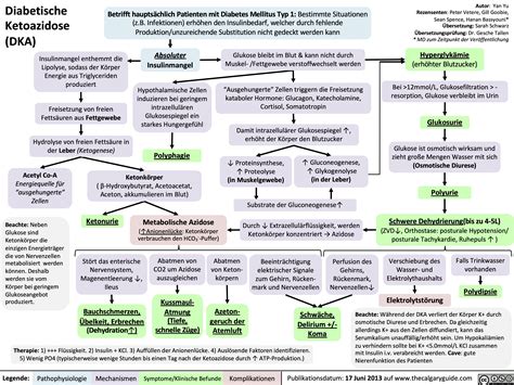 Diabetes Mellitus Calgary Guide