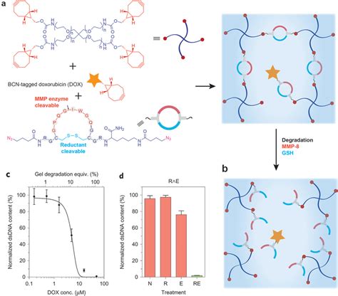 A SPAACbased Hydrogels From Bicyclononynesmodified 4arm PEG