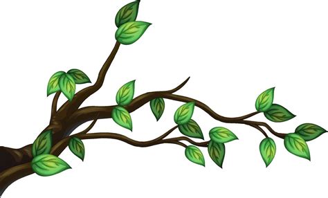 Tree Branch Isolated On White Background Vector Art At Vecteezy