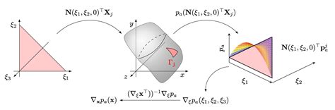 shape function derivatives