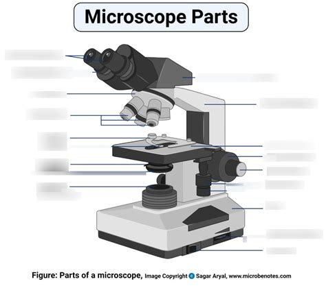 Y S Biology Labelling The Parts Of A Microscope Diagram Quizlet