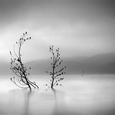 Desprès de des dels meus ulls George Digalakis