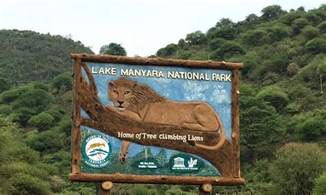 Exploring Lake Manyara National Park Tanzania Safaris Tours