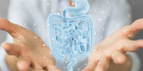 Les Conseils Ultimes Pour Prendre Soin De Son Microbiote Miroir Mag