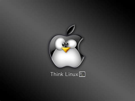 Top 999 Linux Os Wallpapers Full HD 4K Free To Use