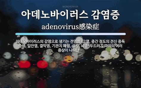 아데노바이러스 감염증 뜻 아데노바이러스의 감염으로 생기는 전염병 고열 중간 정도의 전신 중독 증상 입안염 결