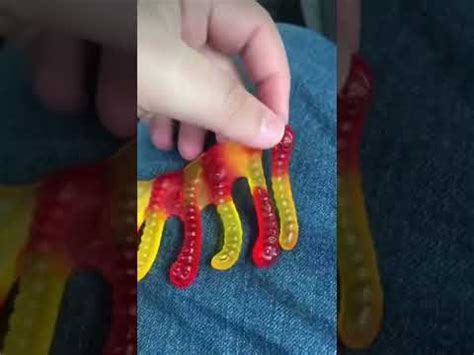 Gummy Elephant Meme Youtube