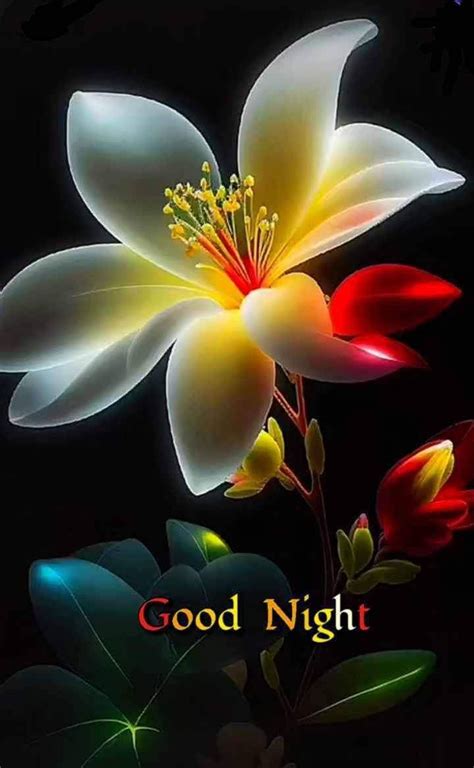Pin By Samir De On Good Night Good Morning Flowers Good Night