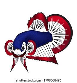 Detail Logo Ikan Cupang Png Koleksi Nomer 13