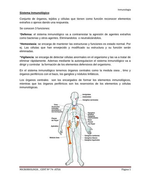 PDF Inmunologia Sistema Inmunológicoecaths1 s3 amazonaws