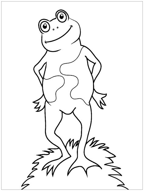 Coloriage De Grenouille Pour Enfants Coloriages De Grenouilles Pour